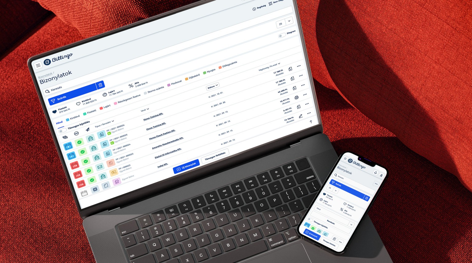 Billingo - Brand Redesign and Digital Transformation | Voov